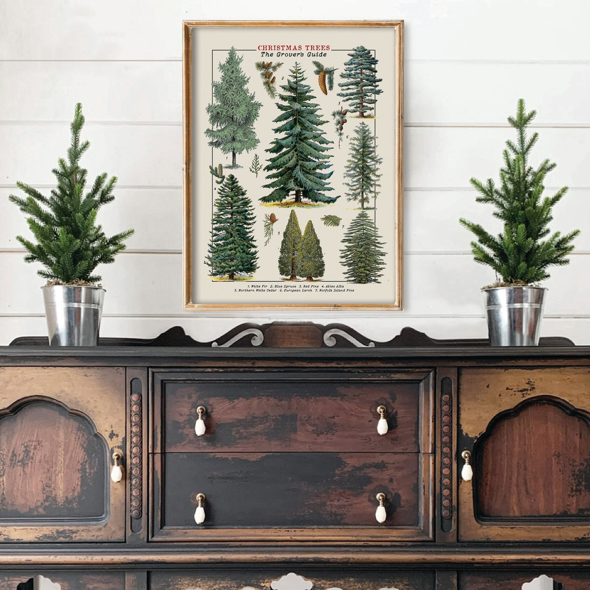 The Grover's Guide Christmas Tree Art Print – Paper House Print Shop