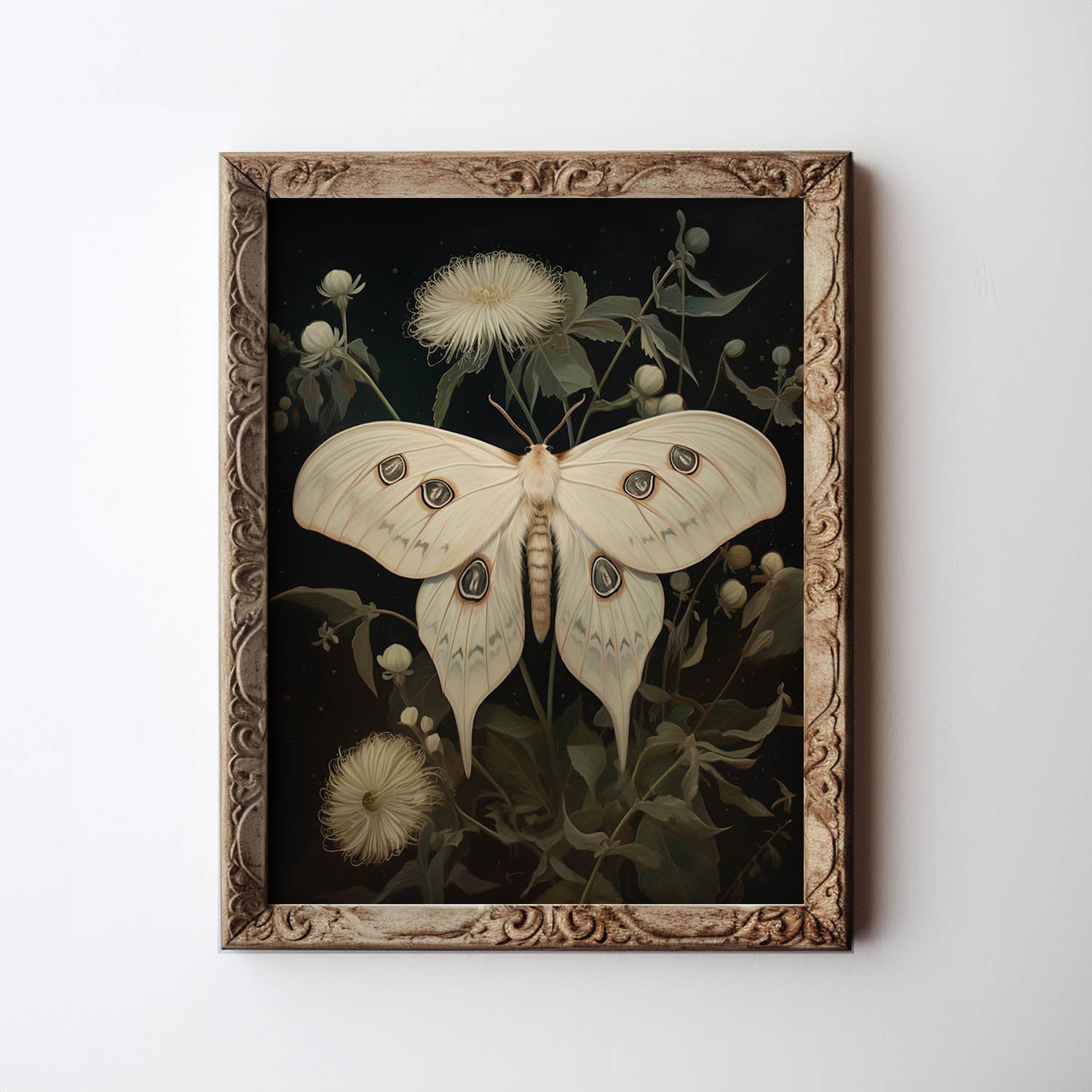 White Luna Moth Victorian Art Print – Paper House Print Shop
