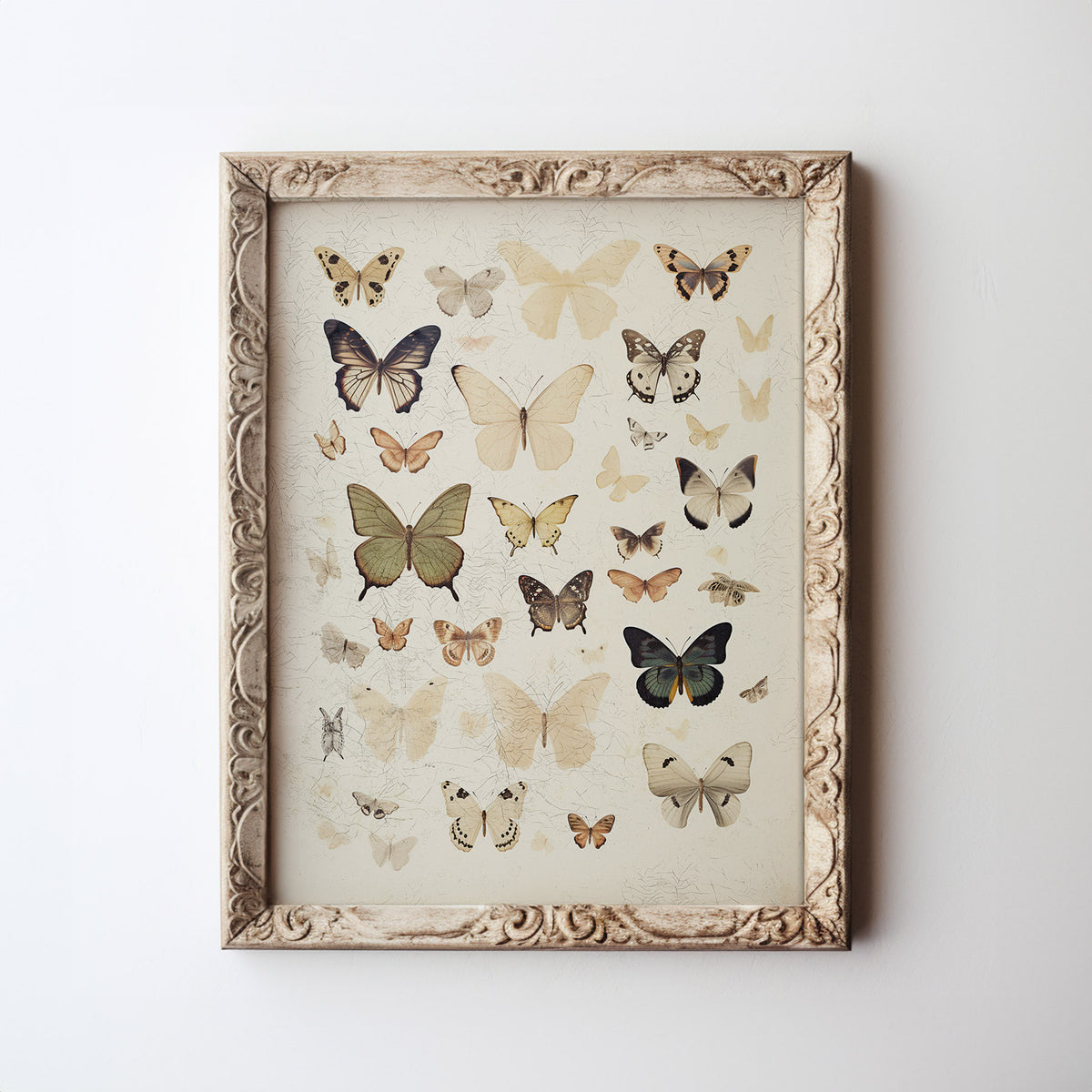 Muted Spring Butterflies Art Print – Paper House Print Shop