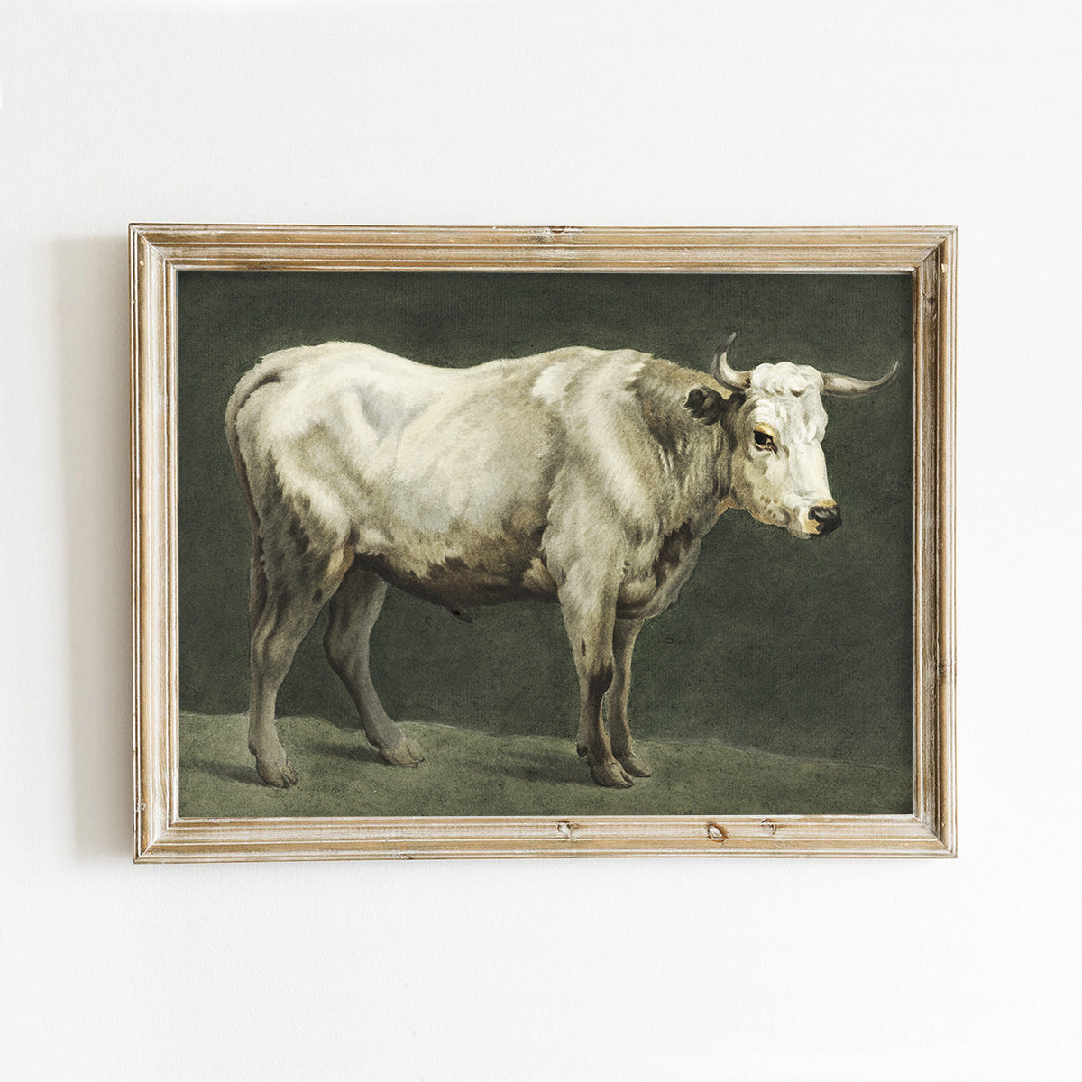 Standing Cow Vintage Art Print – Paper House Print Shop