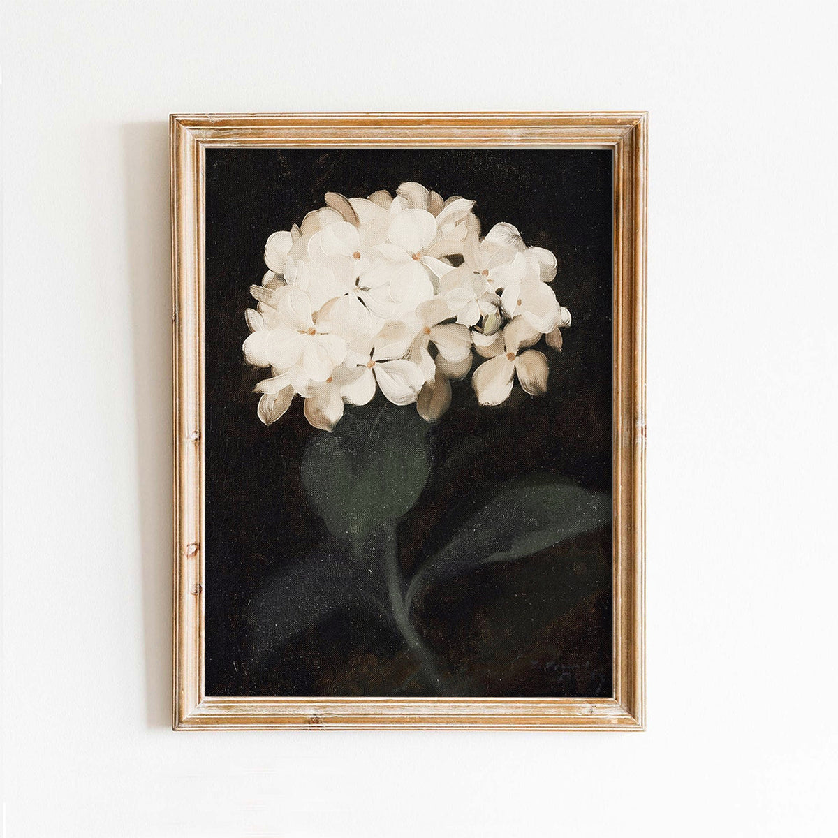 White Hydrangea Vintage Art Print – Paper House Print Shop