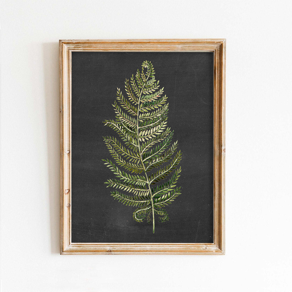Black Background Fern Leaf Pattern Art Print – Paper House Print Shop