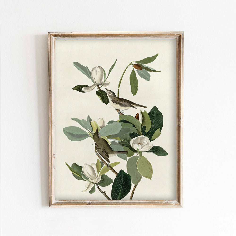 Birds on Blossoms Cream and Green Art Print – Paper House Print Shop
