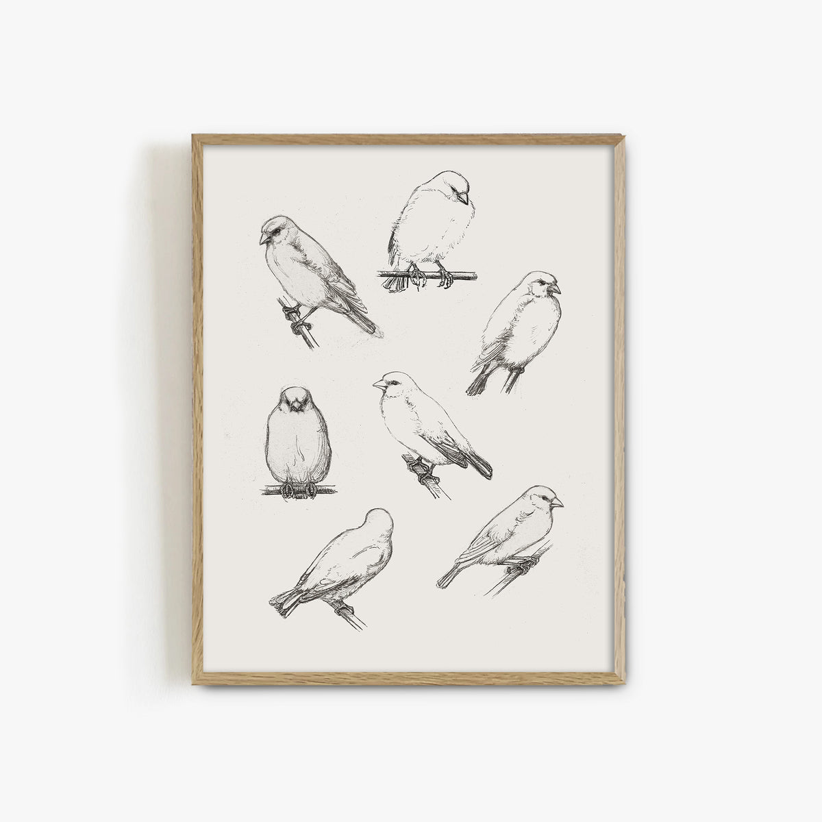 Seven Birds Sketch Spring Art Print – Paper House Print Shop